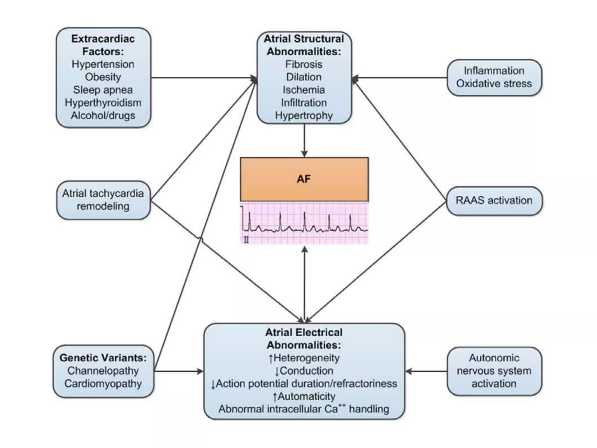 2014 AHA/ACC/HRS Atrial Fibrillation Guideline | PPTX
