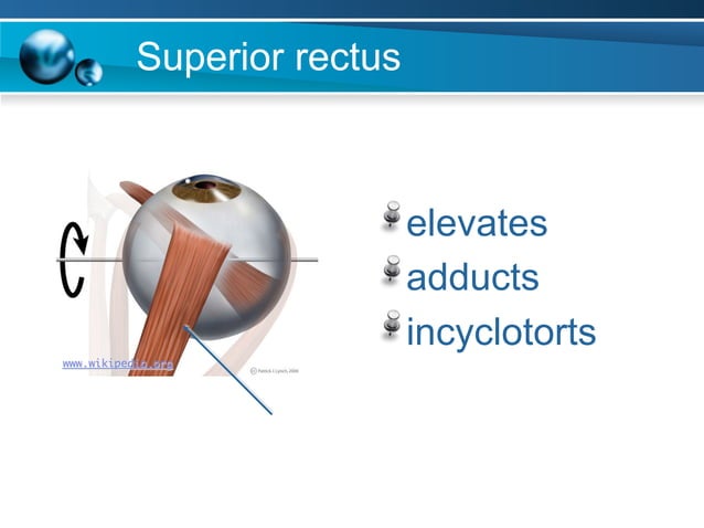 2014 asmph strabismus & amblyopia | PPT