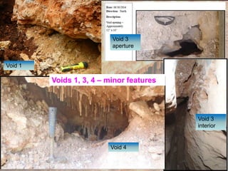 Viod Mitigation with the BCCP | PDF