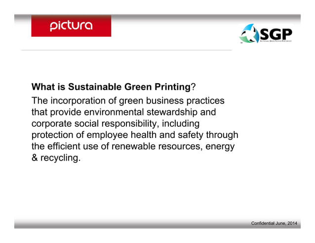 Paul Lilienthal - Pictura Graphics Sustainability | PDF | Environmental ...