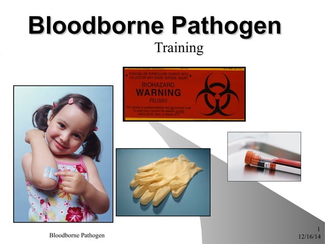 Bloodborne Pathogen Training Safety Course 2014 | PPT