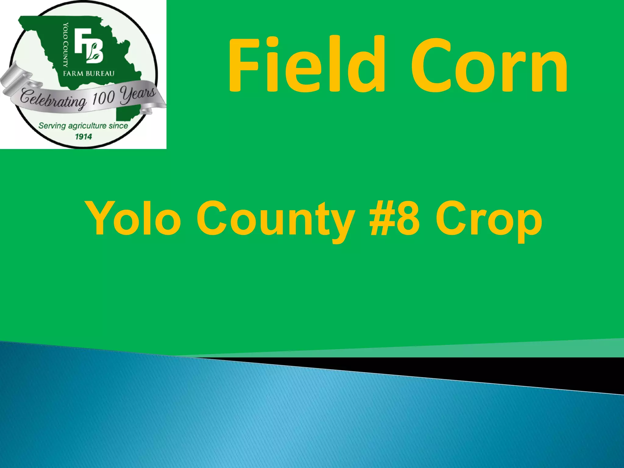 Yolo County Farm Bureau -- Celebrating 100 Years | PPT