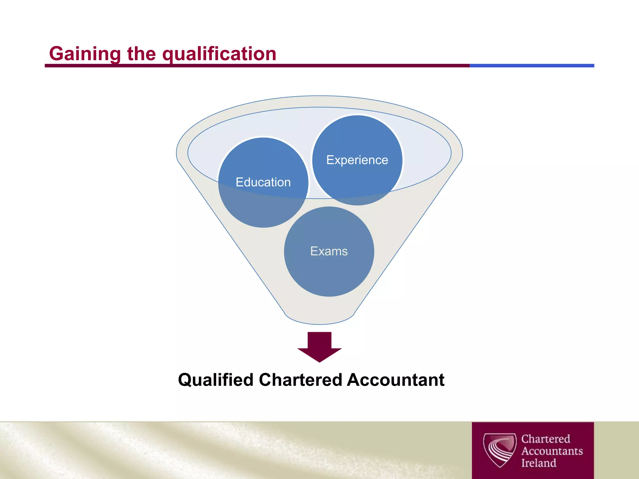Chartered Accountant - Now You Can | PPTX