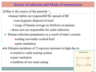 Bovine Cysticercosis and Its Public Health Importance in Ethiopia | PPTX