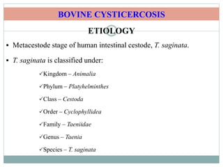 Bovine Cysticercosis and Its Public Health Importance in Ethiopia | PPTX