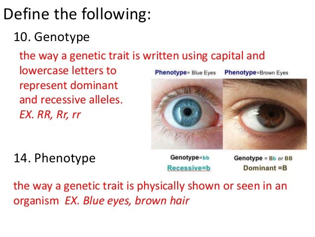 Genotype Definition