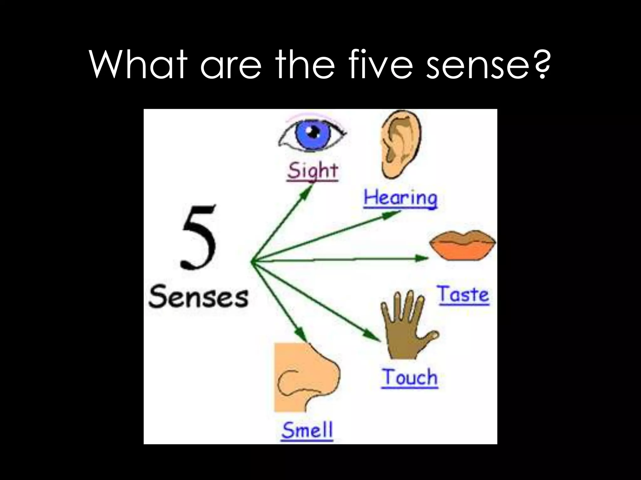 2014 Five Senses Poetry | PPT