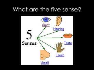 2014 Five Senses Poetry | PPT