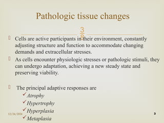 2014 HP learning content 3 Cellular or tissue changes.pptx