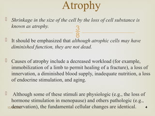 2014 HP learning content 3 Cellular or tissue changes.pptx
