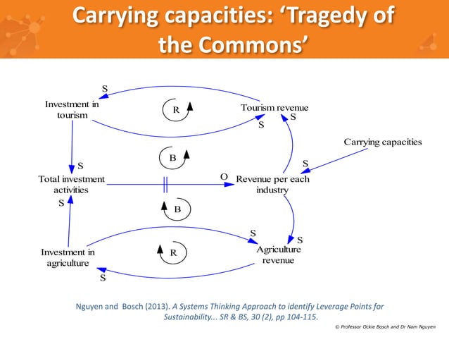 Module 3 Systems archetypes | PPTX