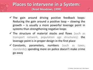 Module 4 Leverage points and systemic interventions | PPTX