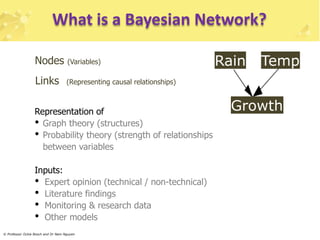Module 5 Bayesian belief network modelling | PPTX