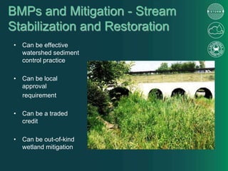 Wetlands and Stormwater Management | PDF