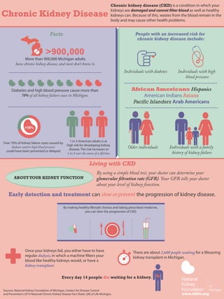 2014 national kidney month infographic | PDF