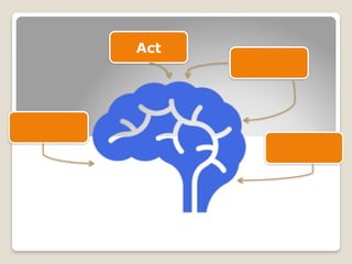 NeuroEducation: Science of the Learning Brain | PDF