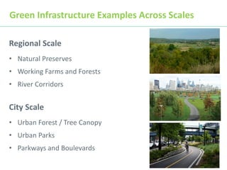 Green Infrastructure 101 - DR | PDF