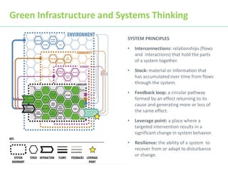 Green Infrastructure 101 - DR | PDF