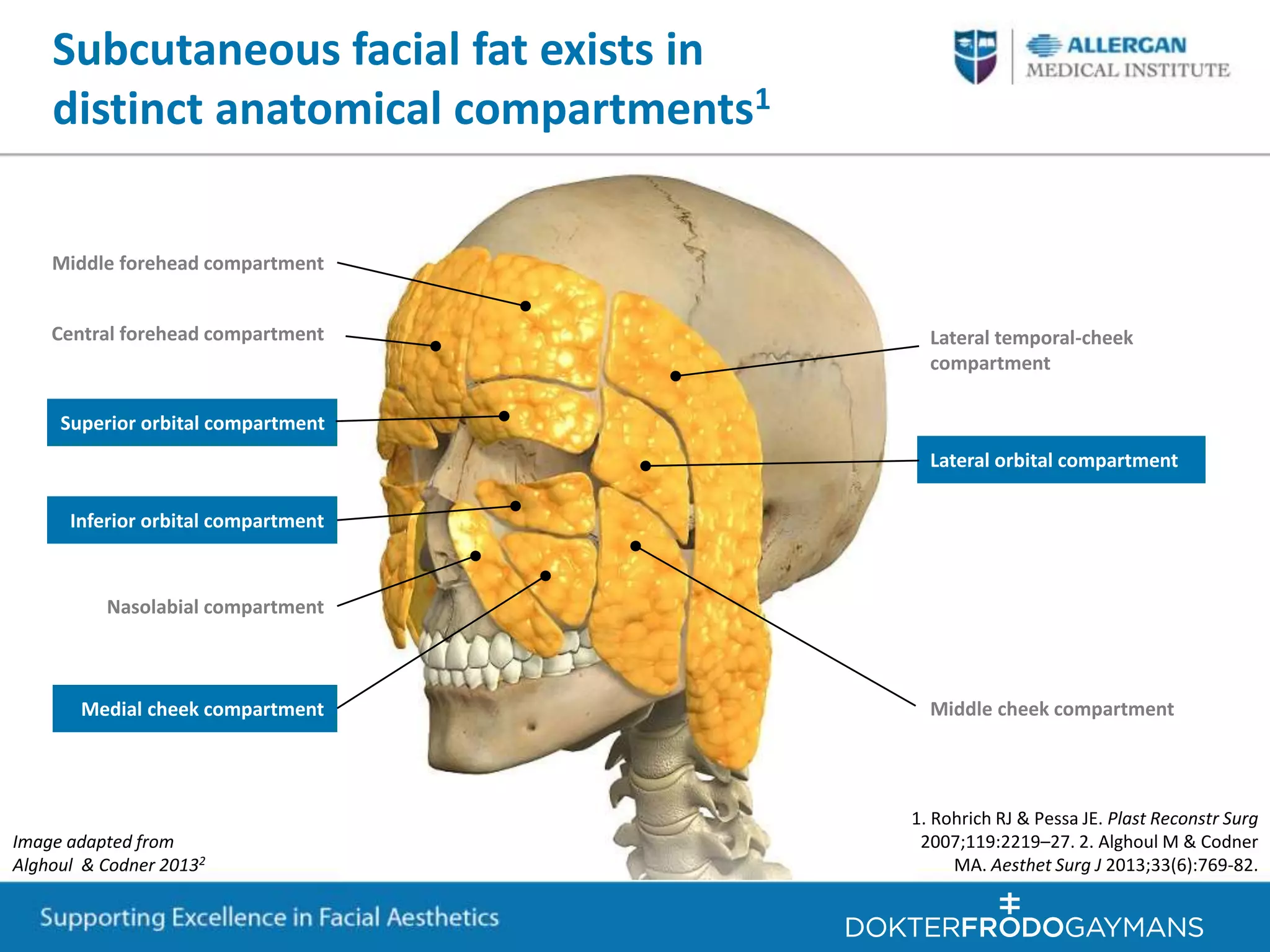 Training for periorbital and upper face treatment with botox and ...