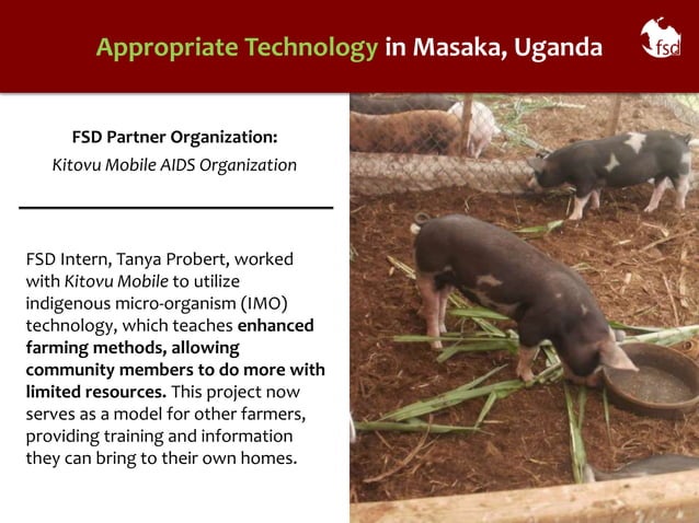 FSD's 2014 Projects: Africa | PPTX