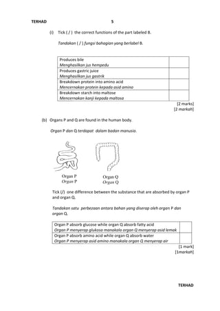 Example PT3 Science 2014 | PDF