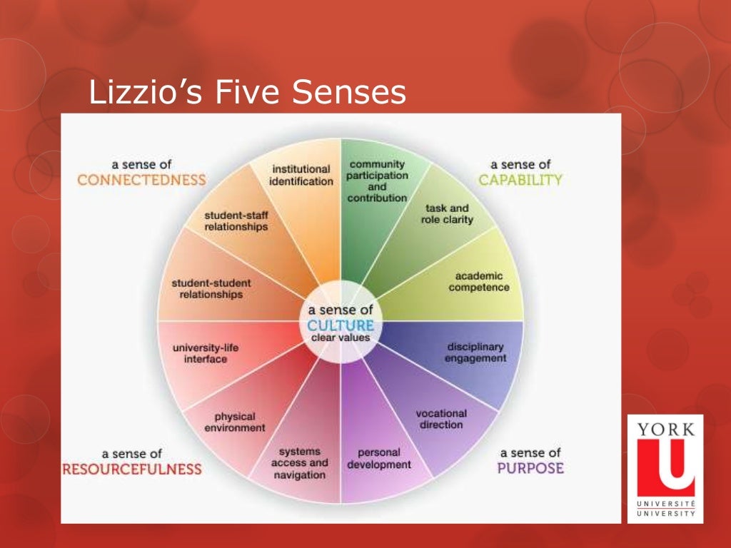 Using Lizzio’s ‘Five Senses’ to Shape Residents’ First Year Experienc…