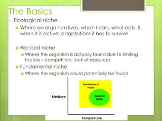 Niche Biology