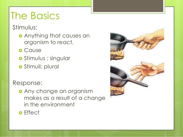 Examples Of Responsiveness Biology