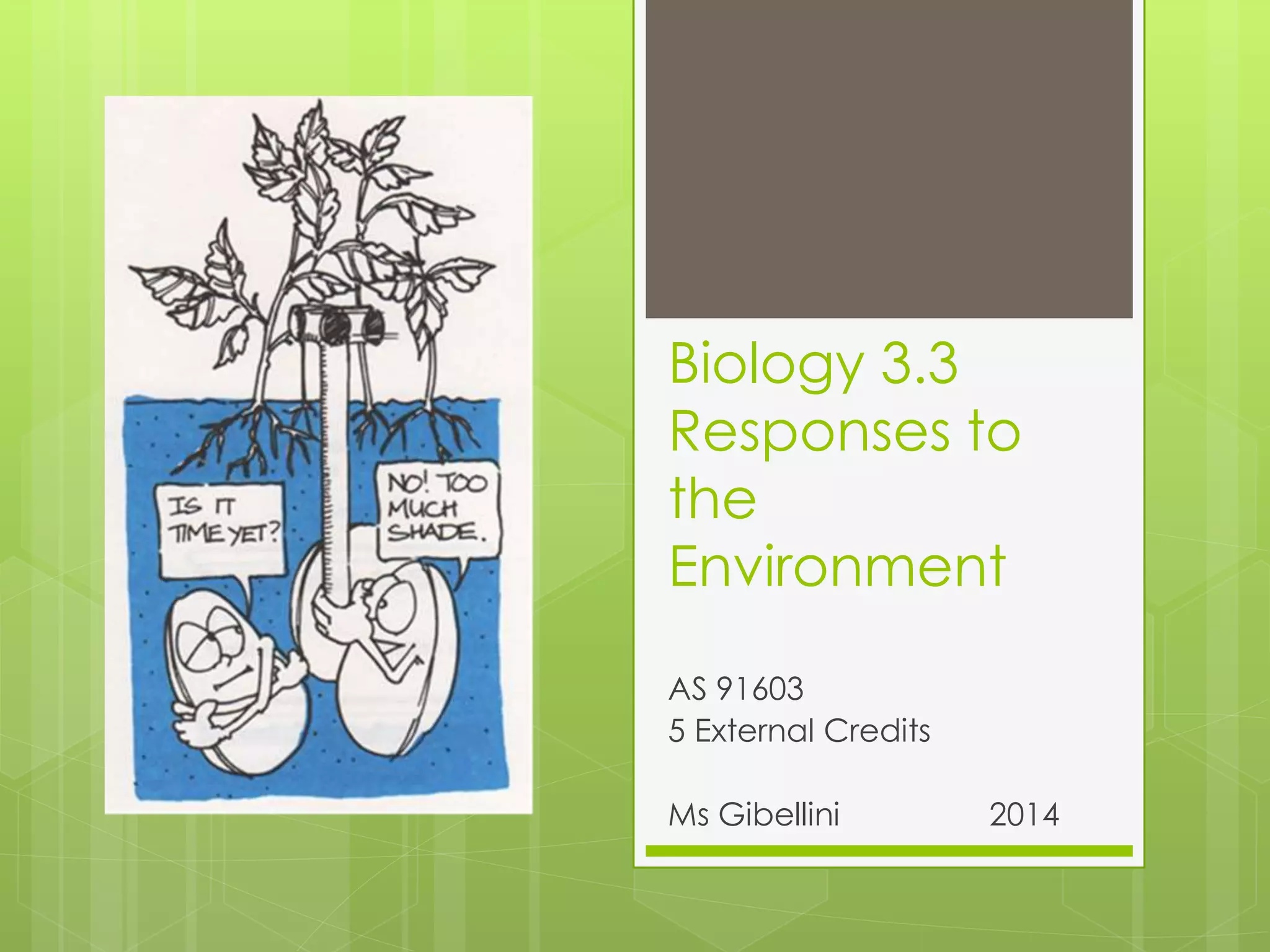 Plant and Animal Responses to the Environment | PPTX