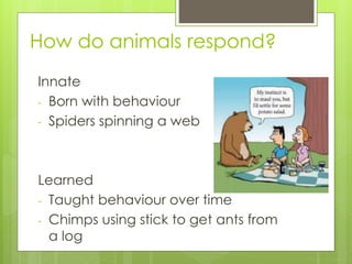 Plant and Animal Responses to the Environment | PPTX