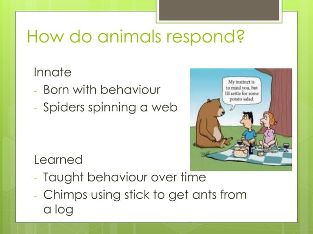 Plant and Animal Responses to the Environment | PPTX