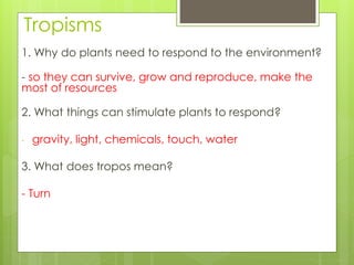 Plant and Animal Responses to the Environment | PPTX