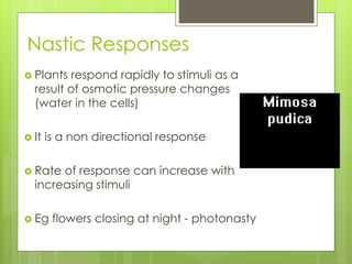 Plant and Animal Responses to the Environment | PPTX