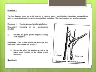 Plant and Animal Responses to the Environment | PPTX