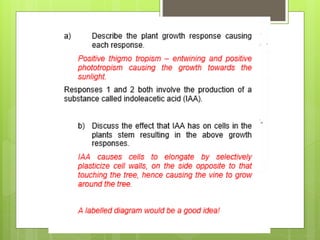 Plant and Animal Responses to the Environment | PPTX
