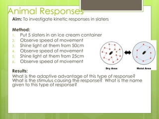 Plant and Animal Responses to the Environment | PPTX
