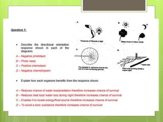 Plant and Animal Responses to the Environment | PPTX