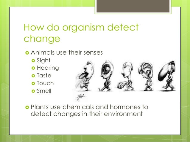 Plant and Animal Responses to the Environment
