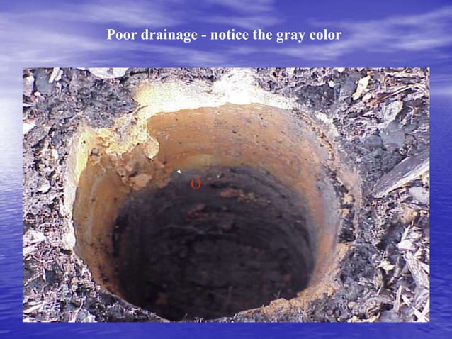 2014 revised master gardener soils class | PPTX | Gardening | Home & Garden