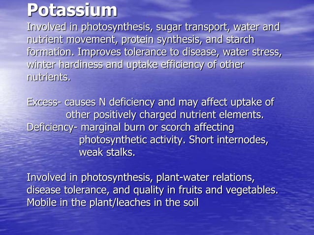 2014 revised master gardener soils class | PPTX | Gardening | Home & Garden