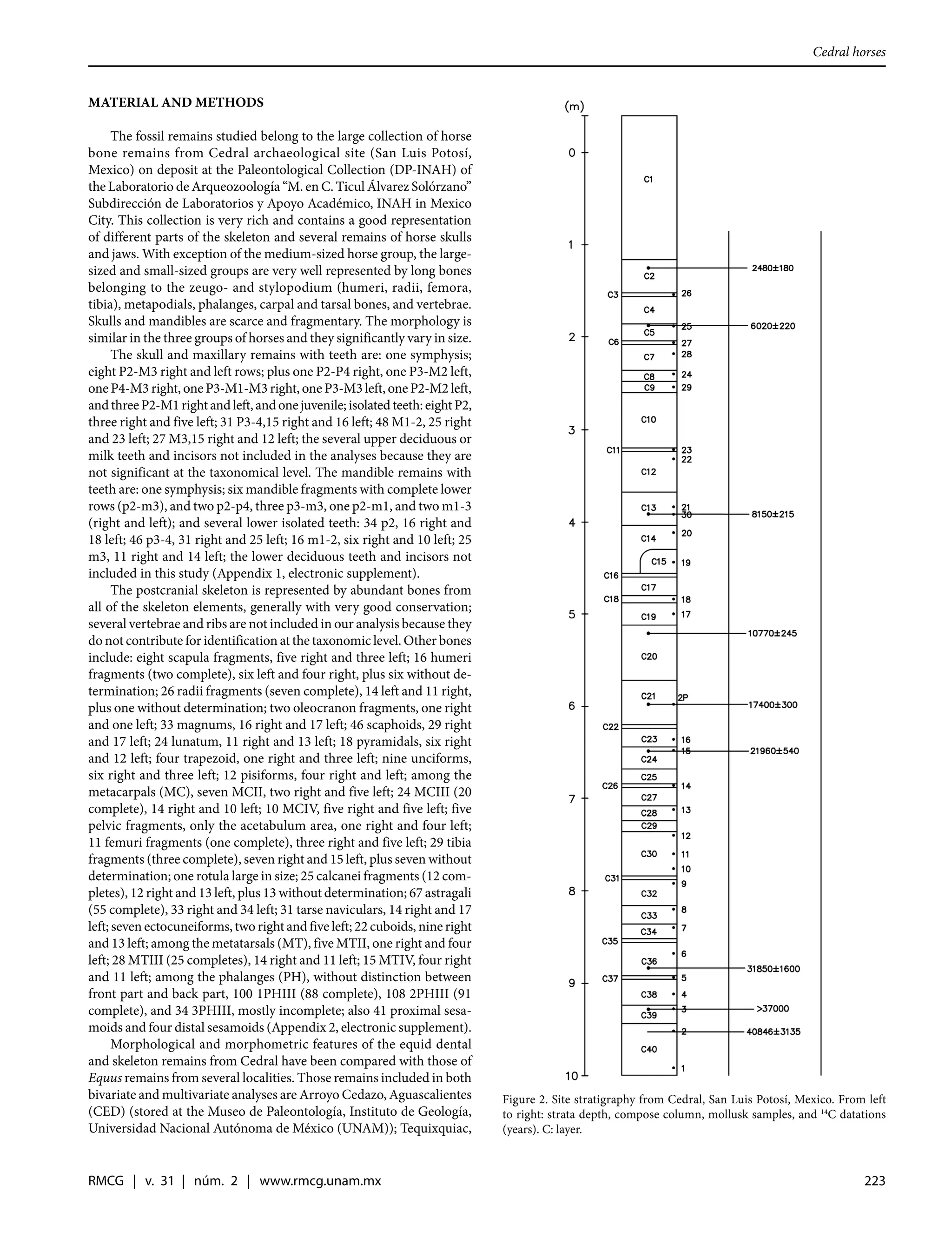 2014 REVISTA MEXICANA DE CIENCIAS GEOLÓGICAS - Study of Cedral Horses and their place in the ...
