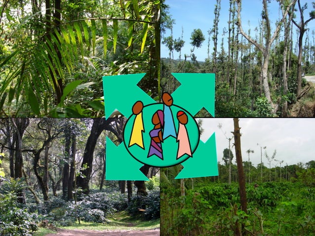 Forestry & Agroforestry 2014 Session 1 - Introducing Complex ...