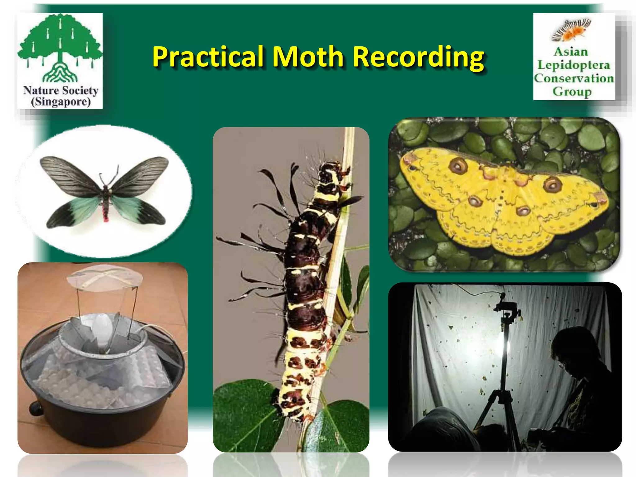 Practical Moth Recording | PPTX
