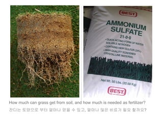 A Modern Method for Determining Turfgrass Nutrient Requirements | PPT