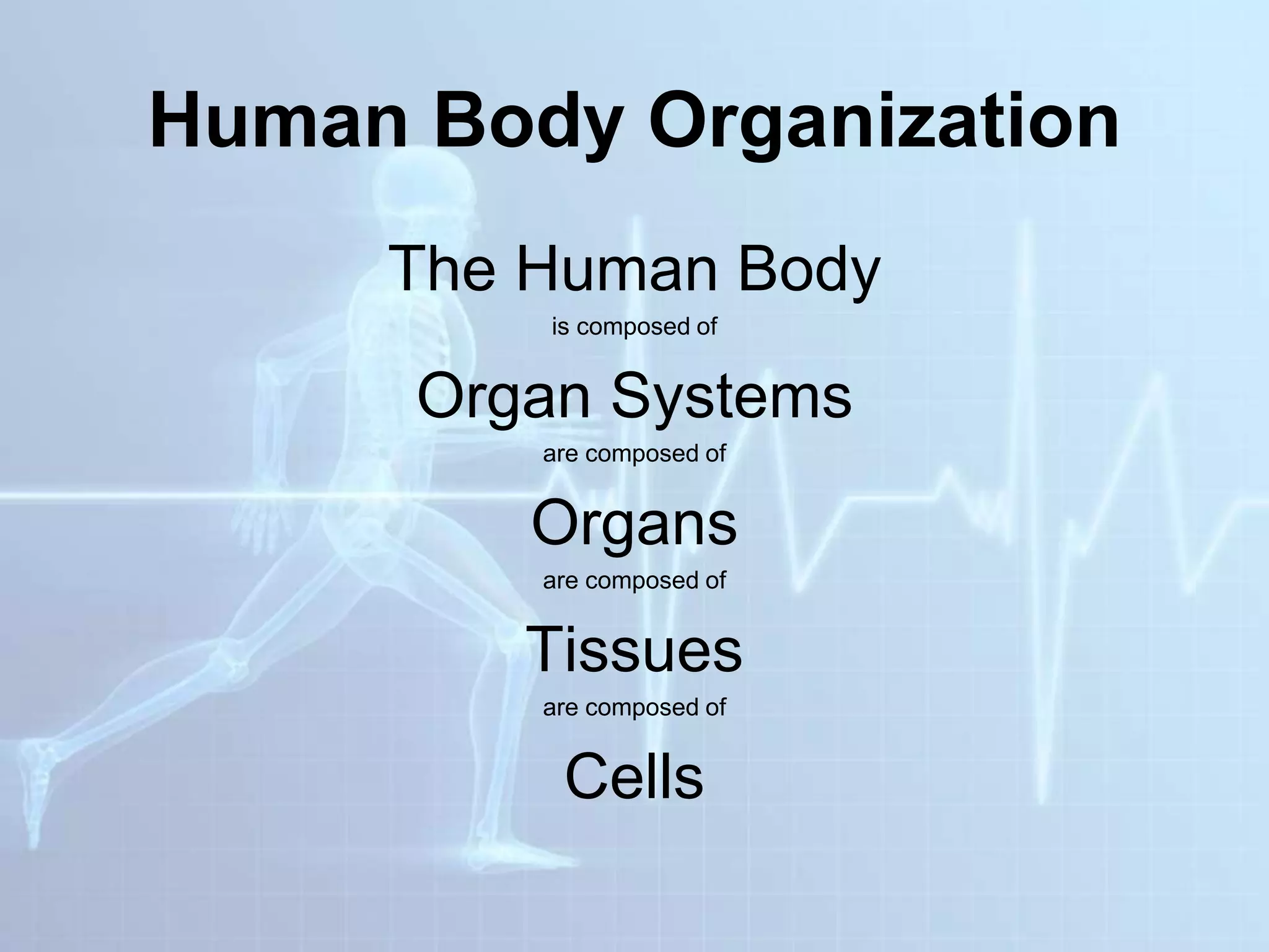 2014 The Human Body Systems ppt.ppt | Digestive Disorders | Diseases ...