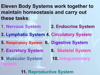 2014 The Human Body Systems ppt.ppt