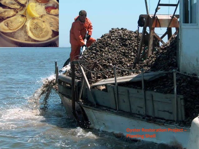 Upstream -Downstream Delaware River Watershed | PPTX