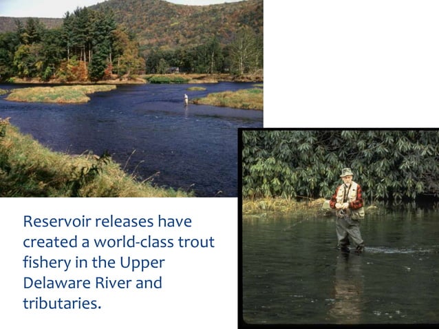 Upstream -Downstream Delaware River Watershed | PPTX