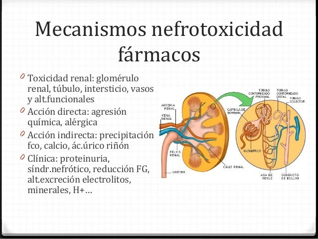 (2015-03-26) Nefrotoxicidad (PPT)