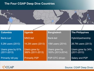 CGAP Slides | PDF